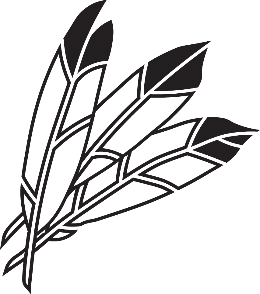 Download 16 - Indian Feathers - Full Size PNG Image - PNGkit