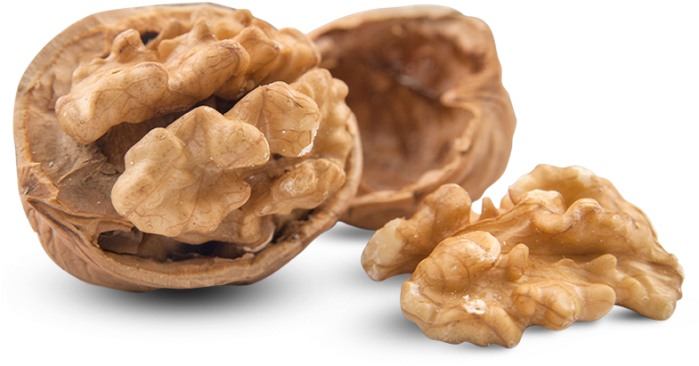 Download Noce Sgusciata - Full Size PNG Image - PNGkit