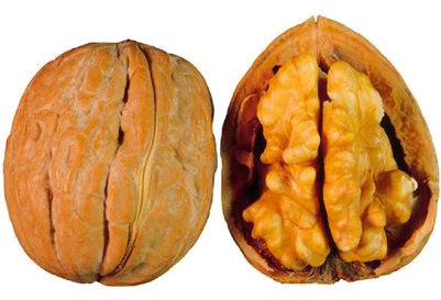 Download Walnut Png Free Download - Walnut Definition - Full Size PNG ...