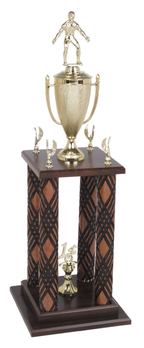 Download 4 Column Trophy For Wrestling Events - Wrestling Trophy 1st ...