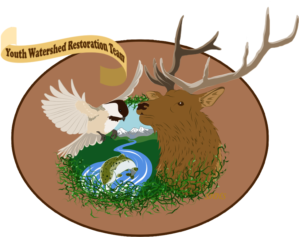 Download Shhs Watershed Restoration Team - Cartoon - Full Size PNG Image - PNGkit